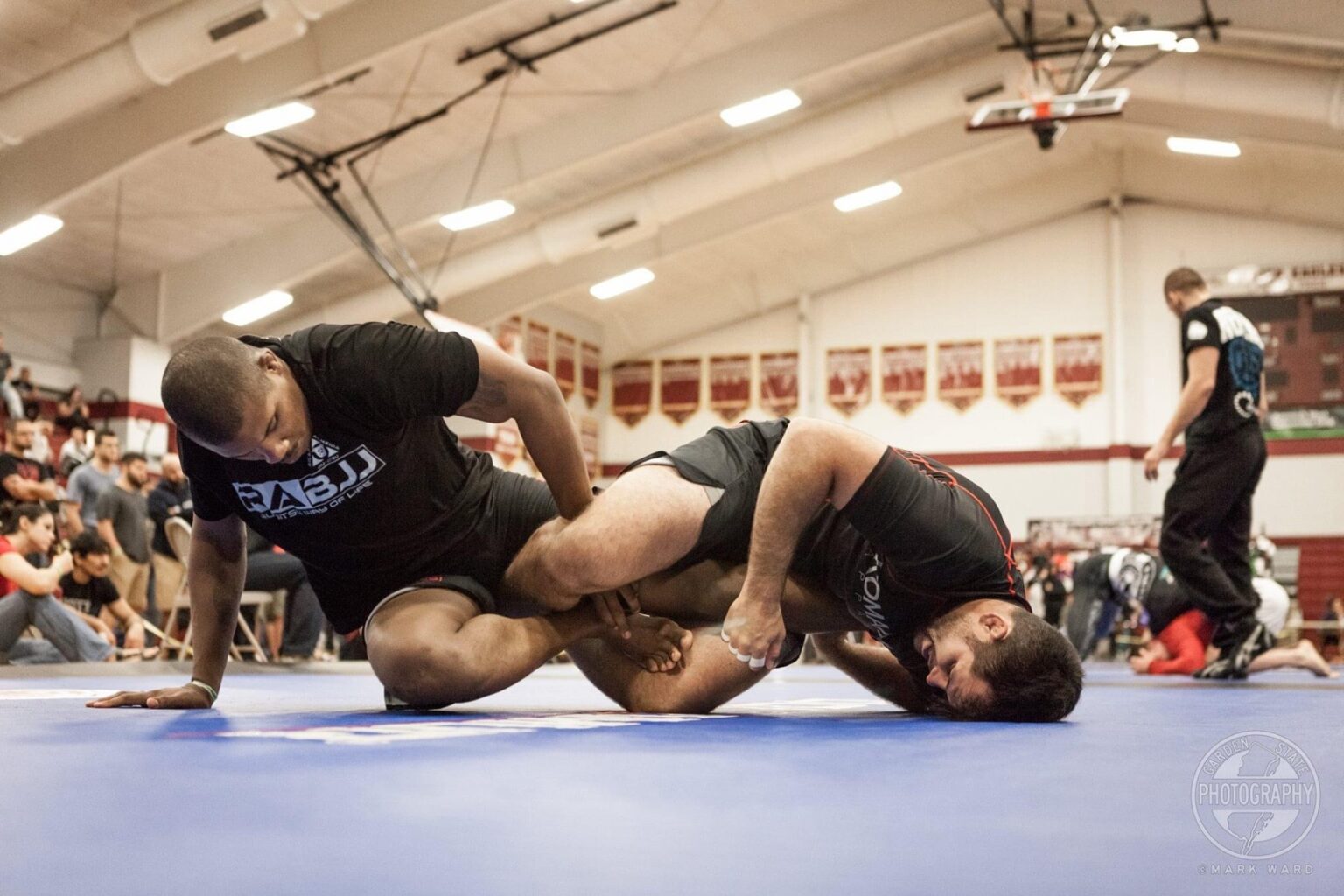 Mastering the Standards: El Dorado Hills Jiu Jitsu’s Curriculum | El ...