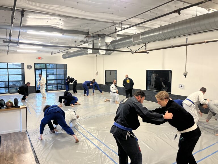 Lessons from UFC 1: What We Learned about Jiu Jitsu | El Dorado Hills ...