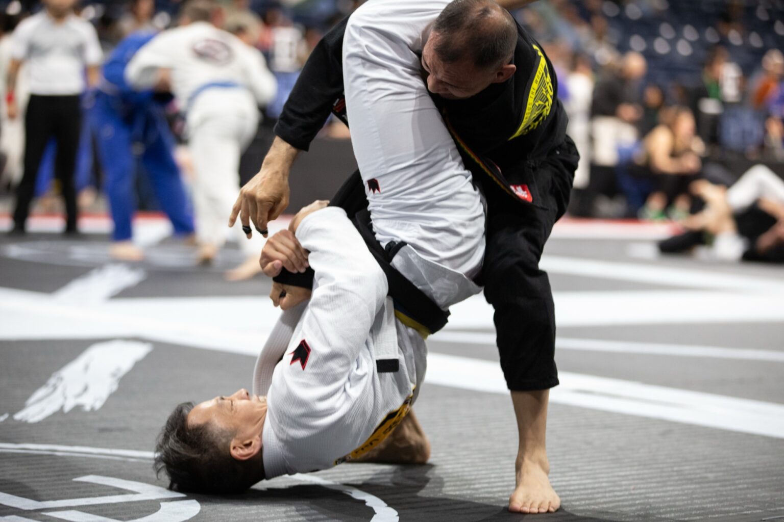 black belt Jiu Jitsu | El Dorado Hills Brazilian Jiu Jitsu & Self Defense